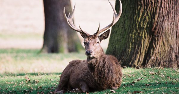 London family Trip - BonAdvisor