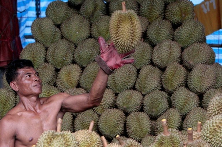 Durian, the most stinky fruit in the world - BonAdvisor