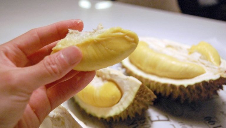 Durian, the most stinky fruit in the world - BonAdvisor
