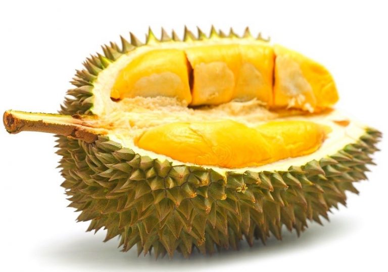 Durian, the most stinky fruit in the world - BonAdvisor