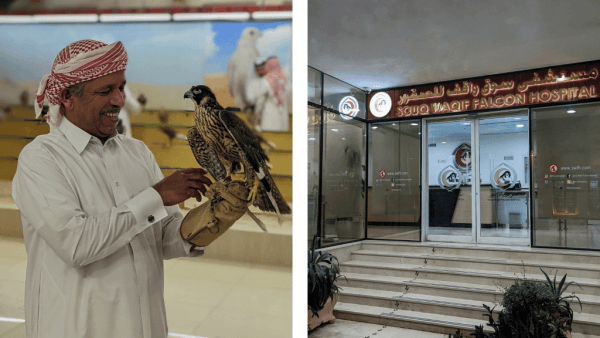 13 Reasons to Visit Qatar and Top Things to Do - BonAdvisor
